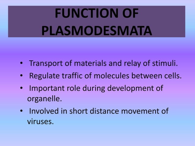 Pits & plasmodesmata | PPTX