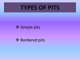 Pits & plasmodesmata | PPTX