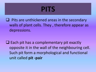 Pits & plasmodesmata | PPT