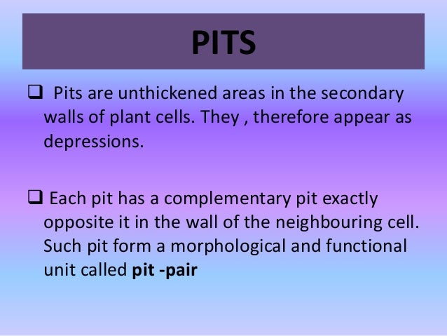 Pits & plasmodesmata