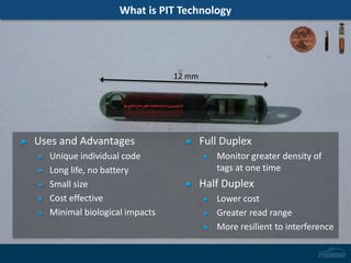 Use of large half-duplex PIT tag antennas to evaluate entrainment | PPTX