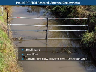 Use of large half-duplex PIT tag antennas to evaluate entrainment | PPTX