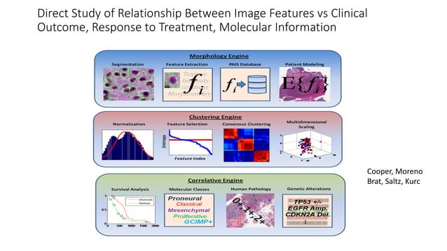 Digital Pathology: Precision Medicine, Deep Learning and Computer Aided ...