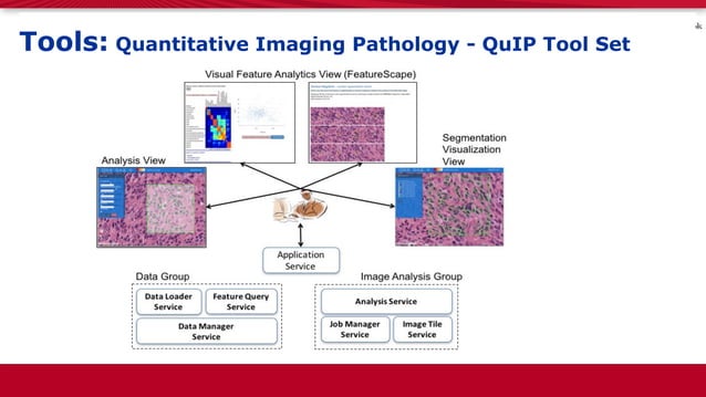 Digital Pathology: Precision Medicine, Deep Learning and Computer Aided ...