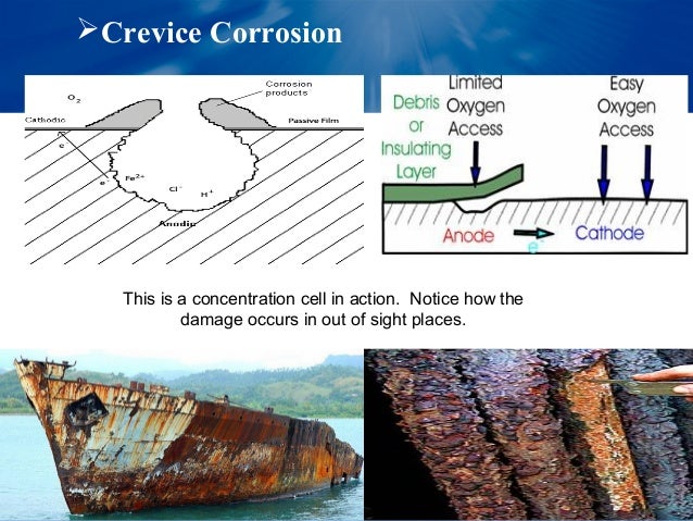 (Pitting corrosion and crevice corrosion)