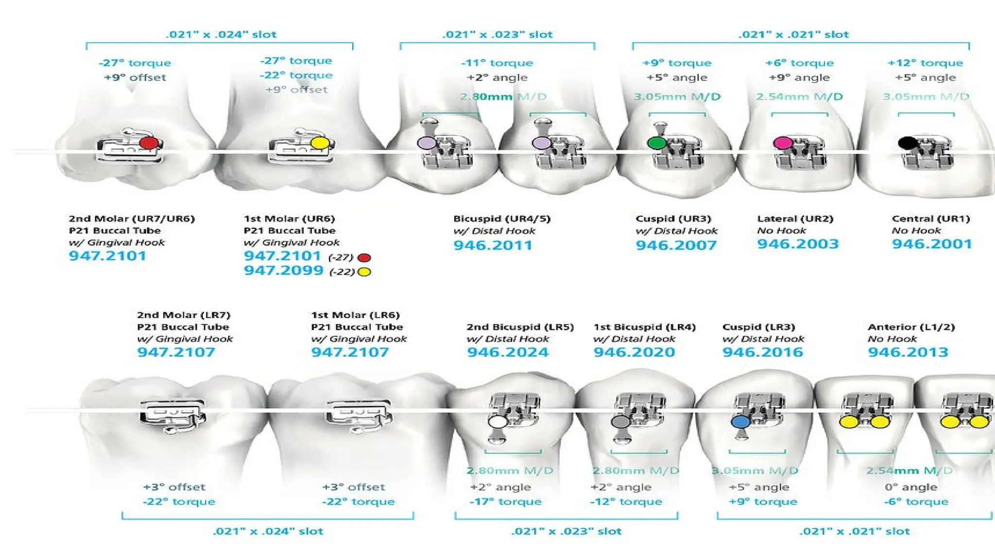 Pitts 21 The 14 Keys to Pitts Case Management.pptx