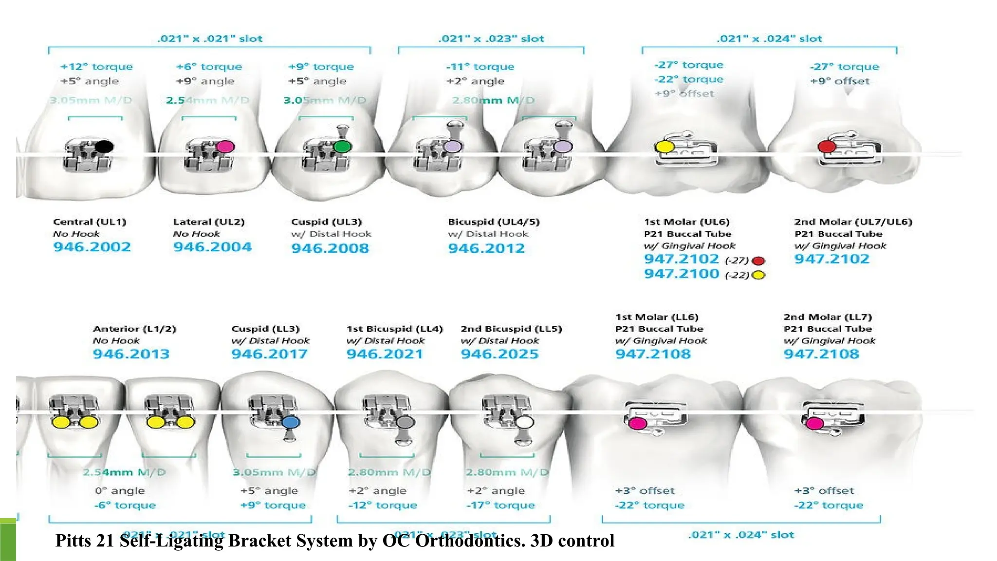 Pitts 21 The 14 Keys to Pitts Case Management.pptx