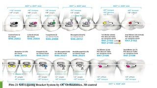 Pitts 21 The 14 Keys to Pitts Case Management.pptx