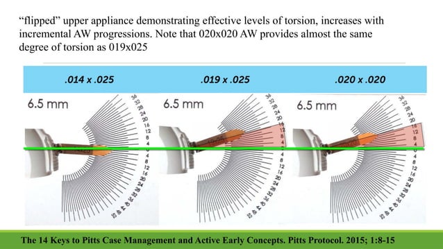 Pitts 21 The 14 Keys to Pitts Case Management.pptx