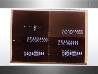 Pittsburgh Signs Project | PPT