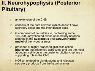 Pituitary | PPTX