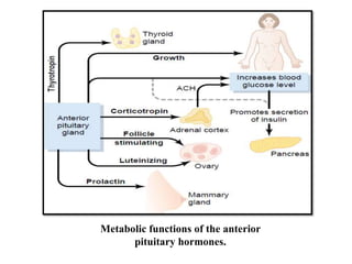 hormones of anterior pitutaty | PPT