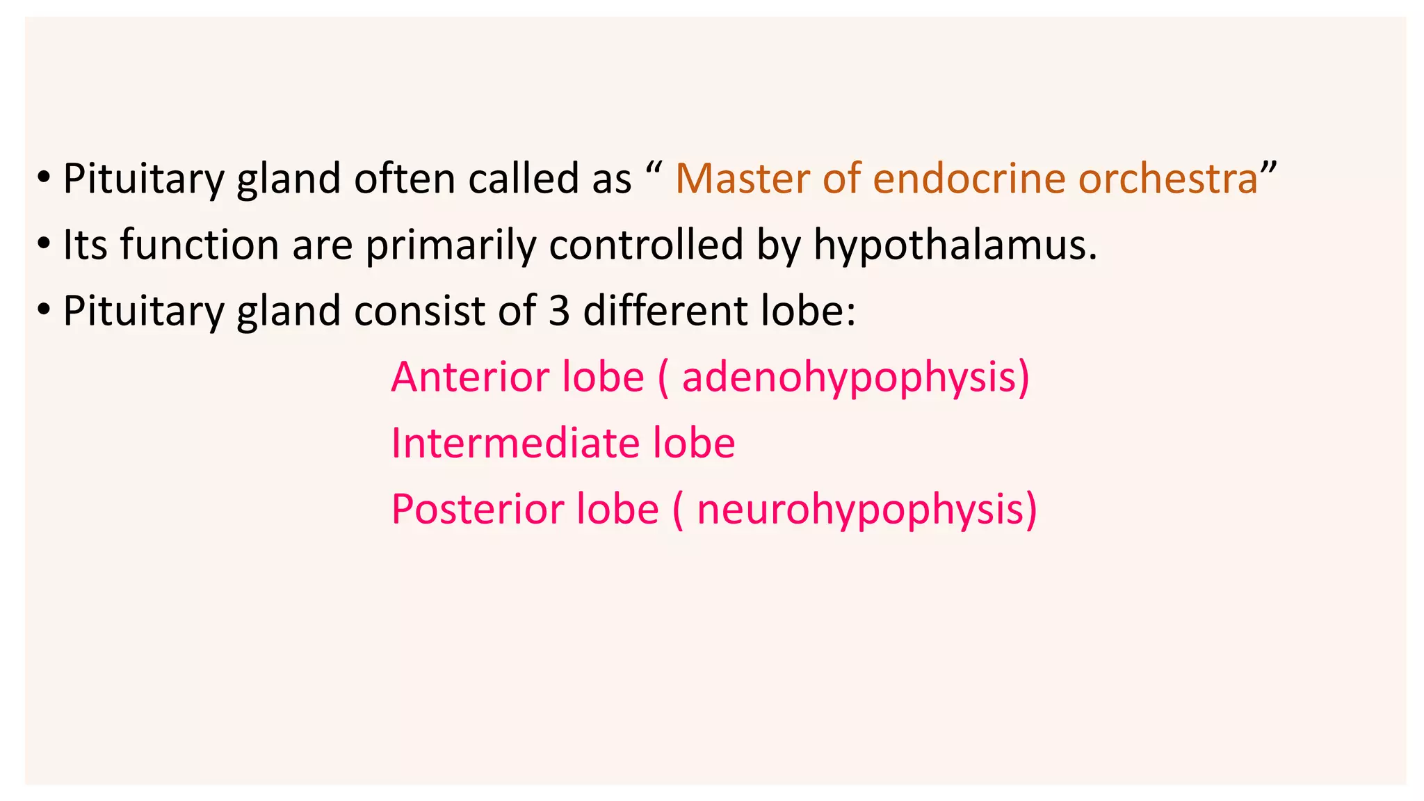 hypothalamus & Pituitary gland | PPTX