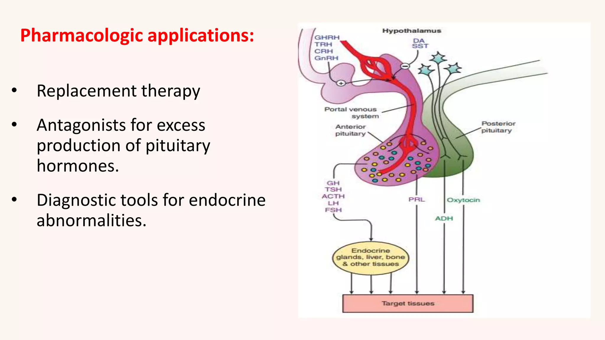 hypothalamus & Pituitary gland | PPTX
