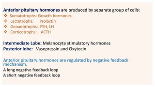 hypothalamus & Pituitary gland | PPTX