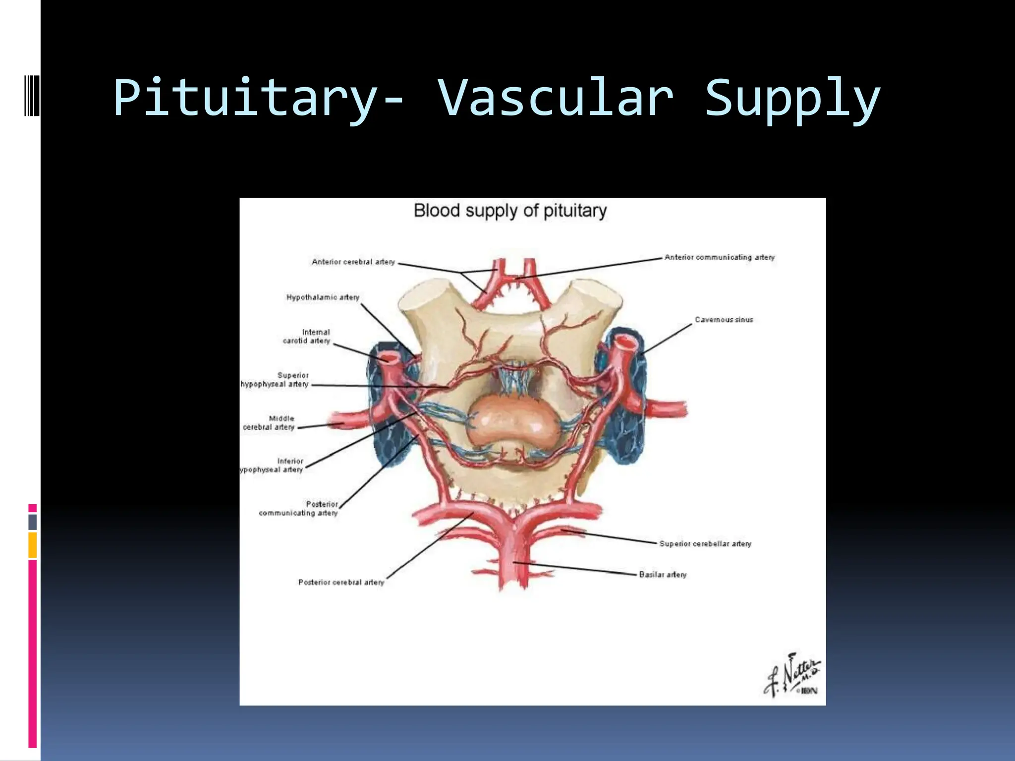 PITUITARY gland anatomy and physiology with clinical presentations of ...