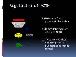 PITUITARY gland anatomy and physiology with clinical presentations of ...