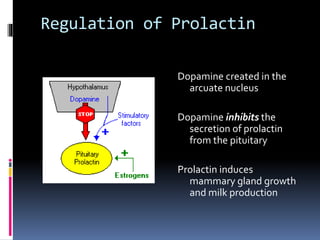 PITUITARY gland anatomy and physiology with clinical presentations of ...