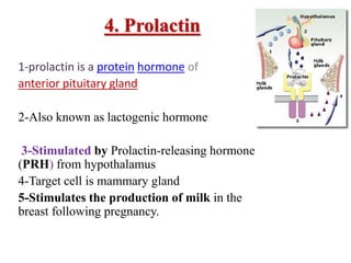 Pituitary gland | PPTX