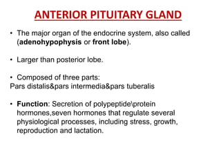 Pituitary gland | PPTX