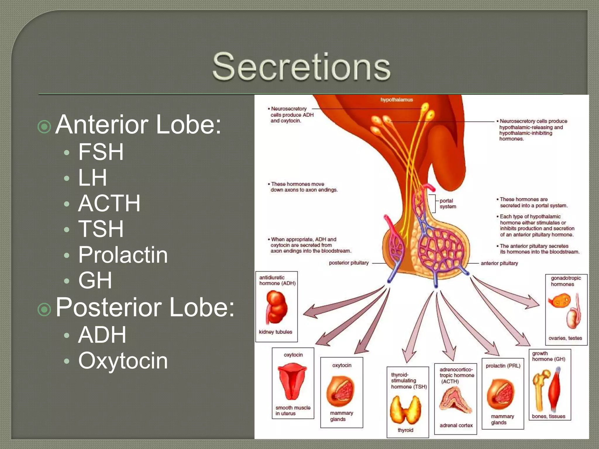 Pituitary adenoma | PPTX