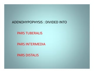 Pituitary Adenomas-Clinical Neuro-Ophthalmic and Radiological ...