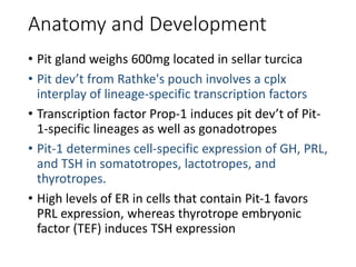 Pituitary and hypothalamus | PPTX