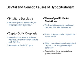 Pituitary and hypothalamus | PPTX