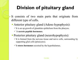 Pituitary and pineal gland | PPT