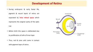 Pituitary & eye | PPT