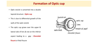 Pituitary & eye | PPT