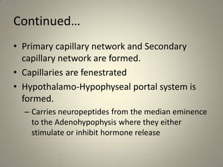 Pituitary gland | PPTX