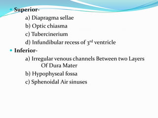 Pituitary gland | PPTX