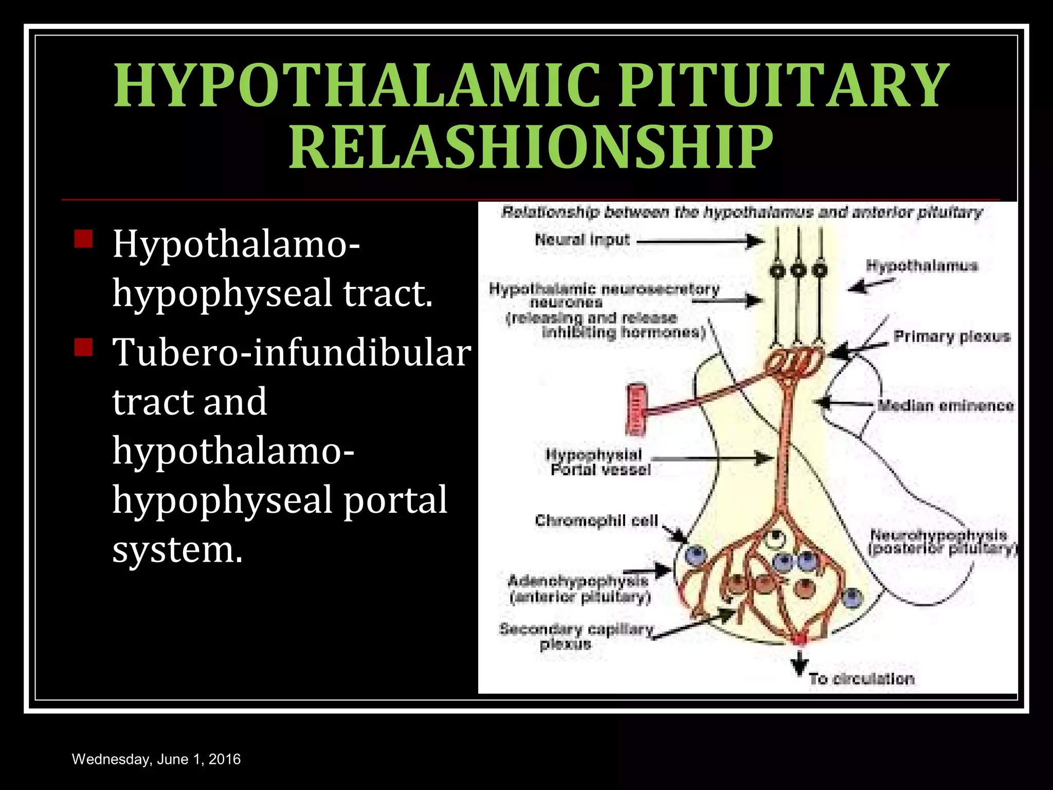 ANTERIOR PITUITARY GLAND | PPT