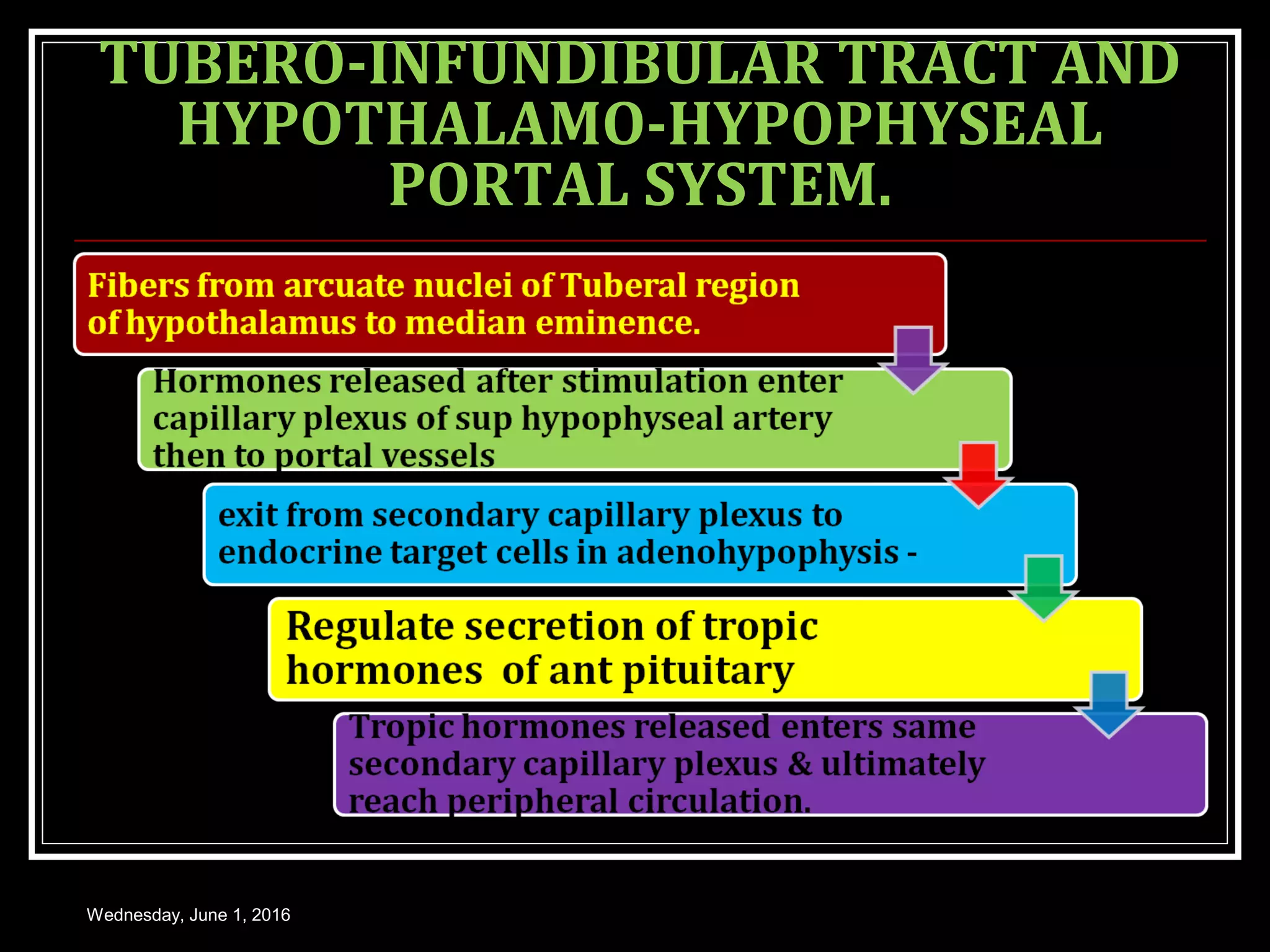 Anterior Pituitary Gland Ppt