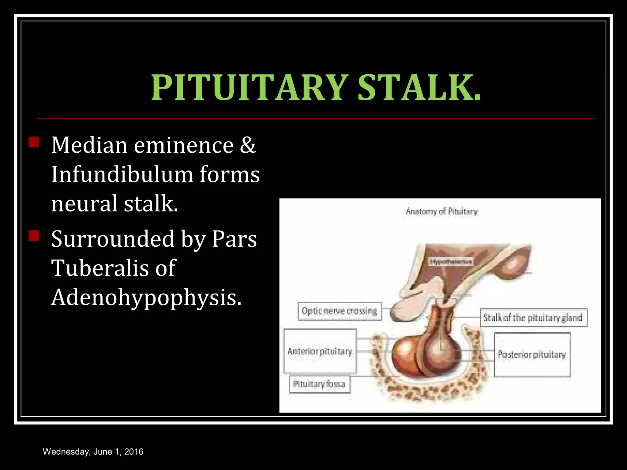 ANTERIOR PITUITARY GLAND | PPT