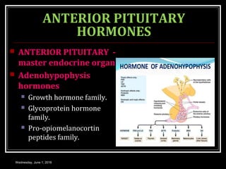 ANTERIOR PITUITARY GLAND | PPT