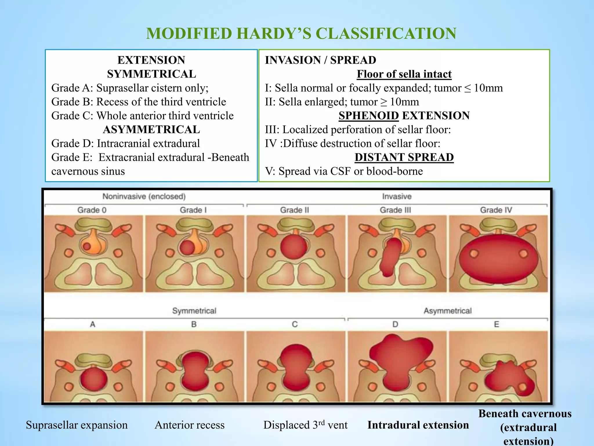 NEUROSURGICAL TENETS OF PITUITARY GLAND | PPTX