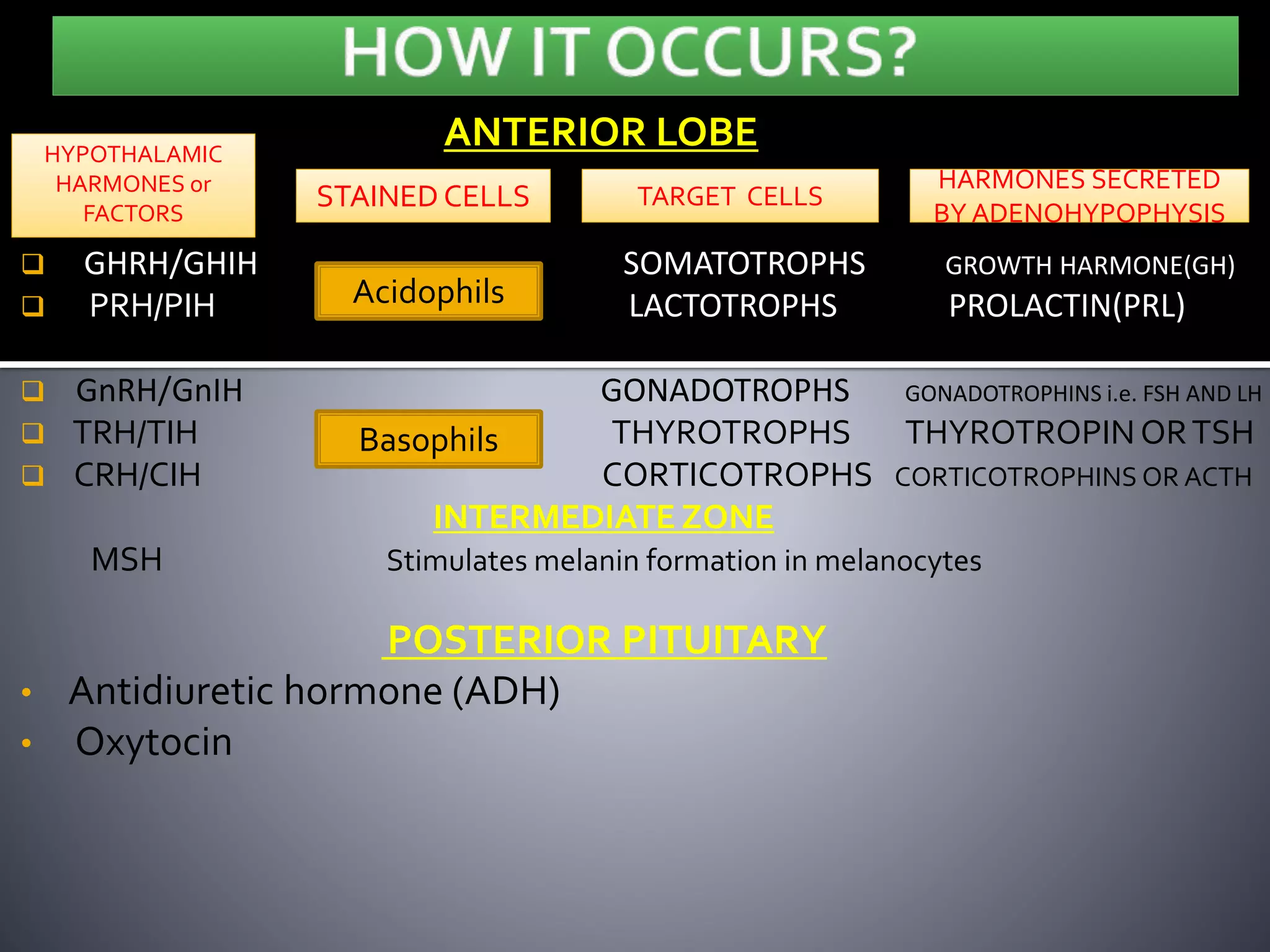 Pituitary gland | PPTX