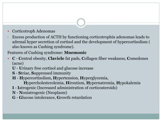 Pituitary gland | PPTX