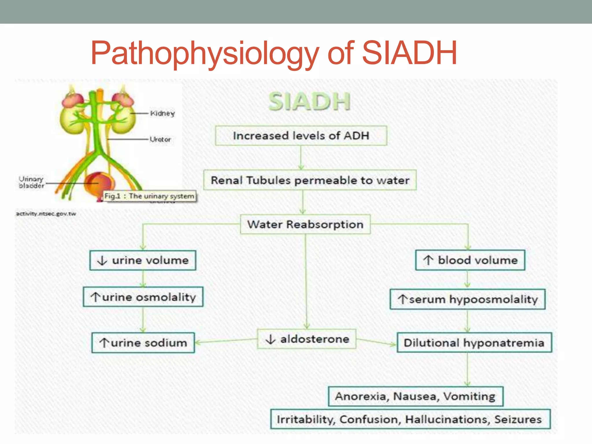 Pituitary gland disorders | PPTX