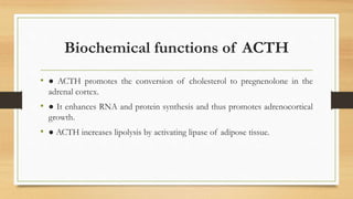pituitary gland.pptx