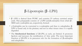 pituitary gland.pptx