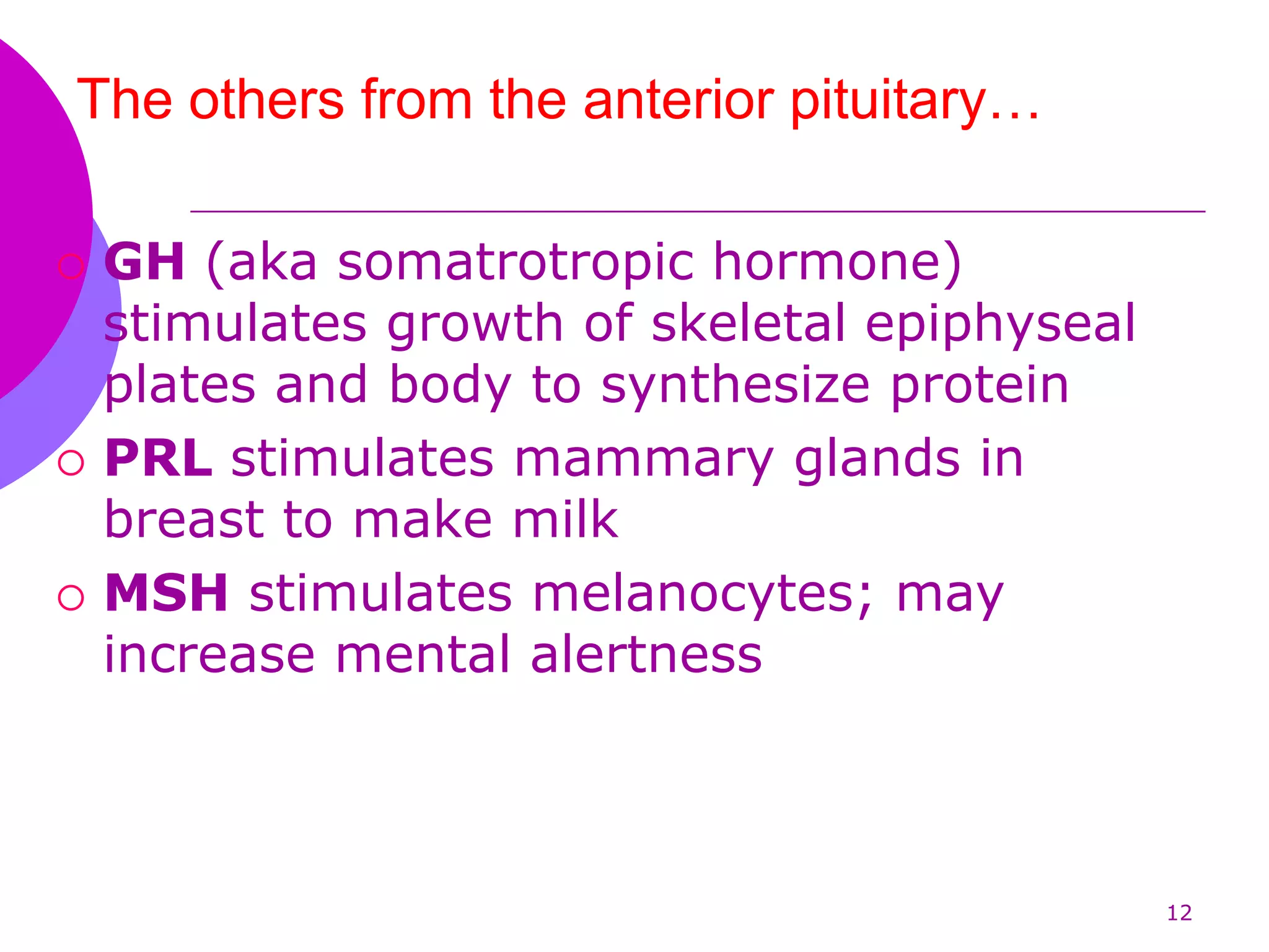 Pituitary Gland.pdf