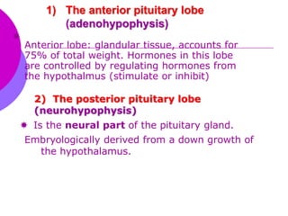 Pituitary Gland.pdf