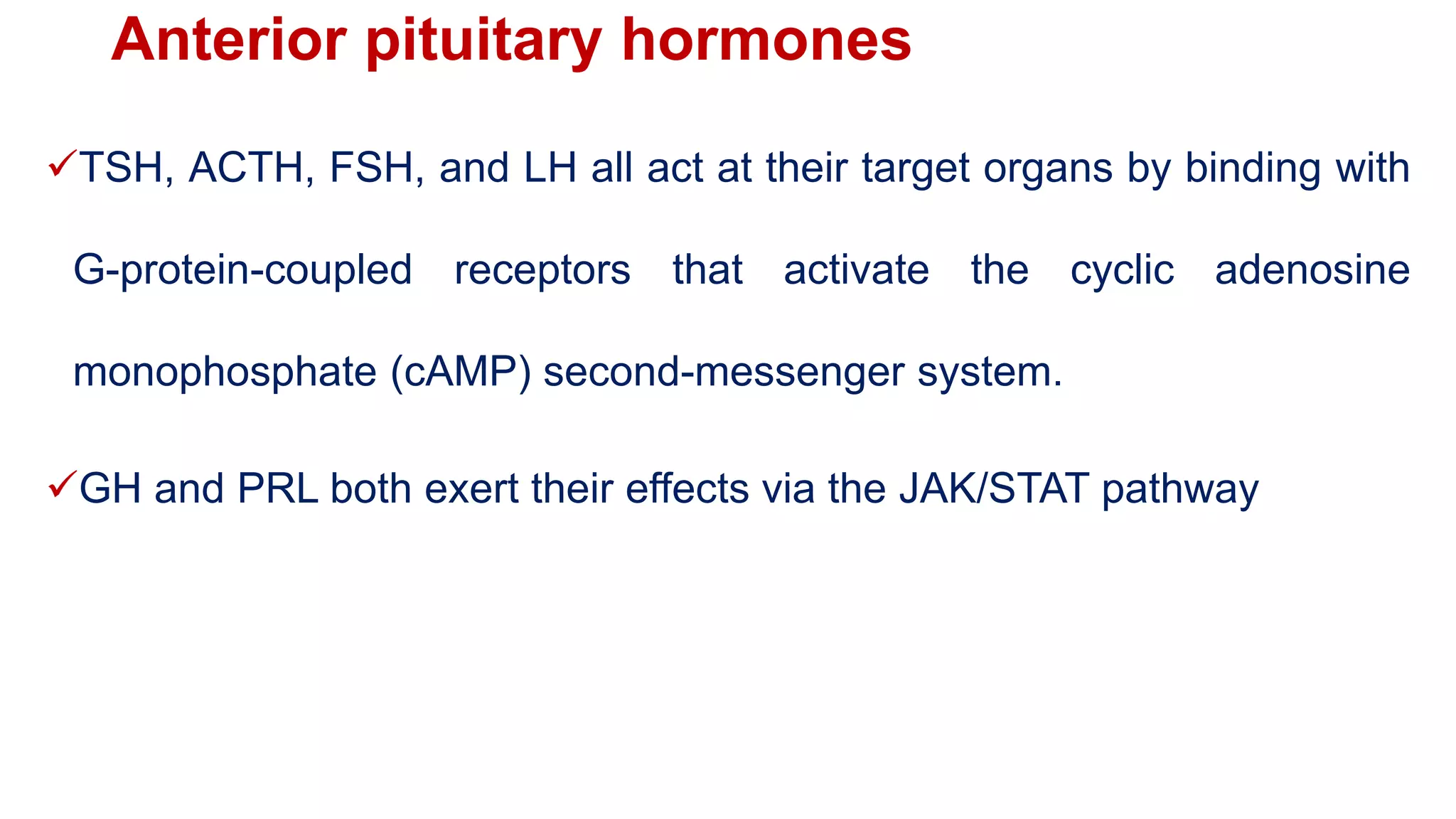Pituitary gland.pptx
