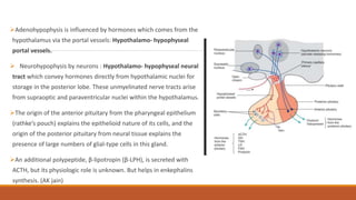 Pituitary gland.pptx functional anatomy of pituitary | PPTX