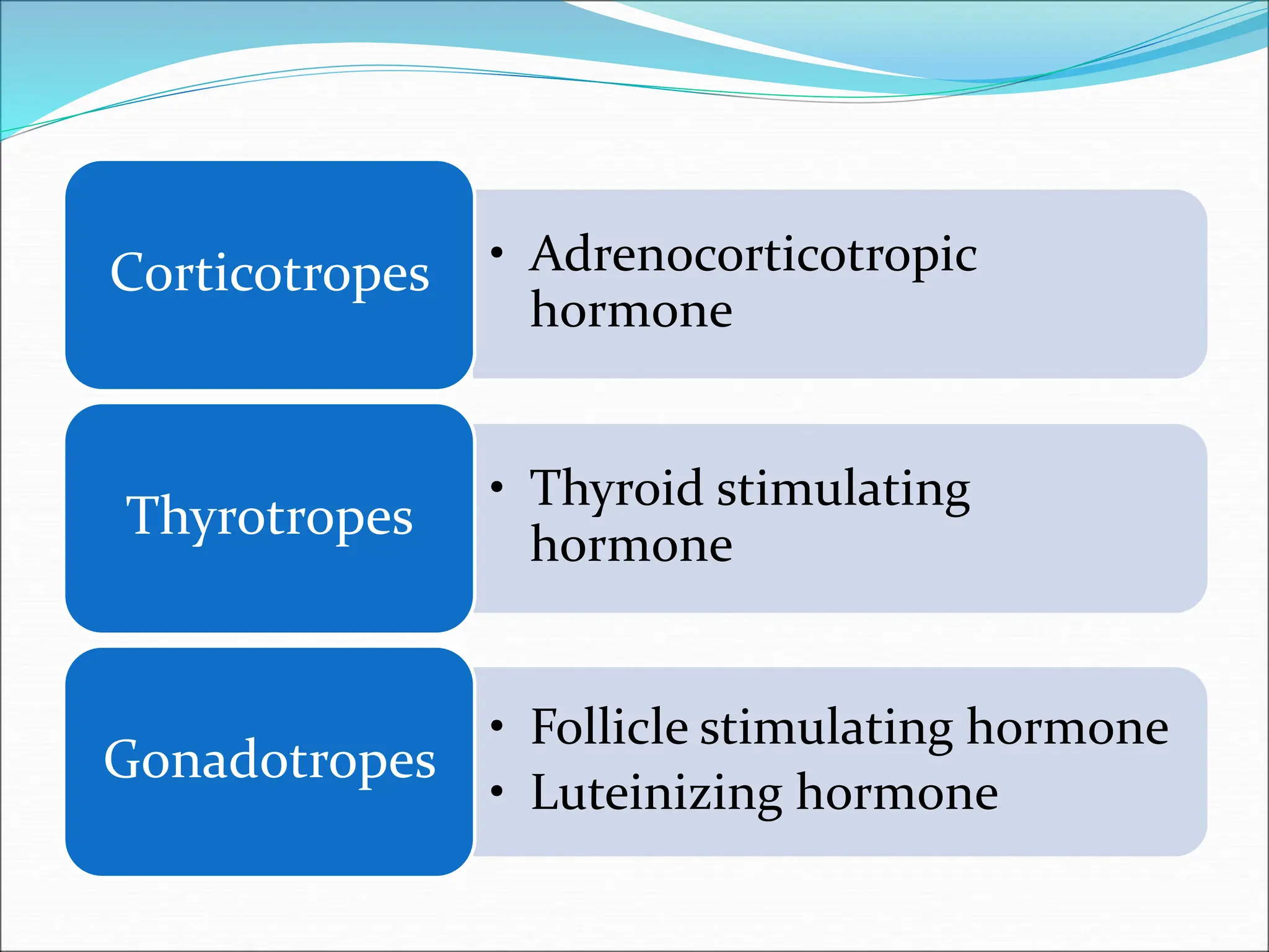 physiology of the human pituitary+gland.pptx