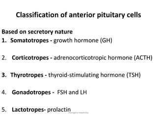 PITUITARY GLAND ANATOMY ENDOCRINE SYSTEM | PPT