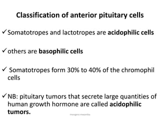 PITUITARY GLAND ANATOMY ENDOCRINE SYSTEM | PPT
